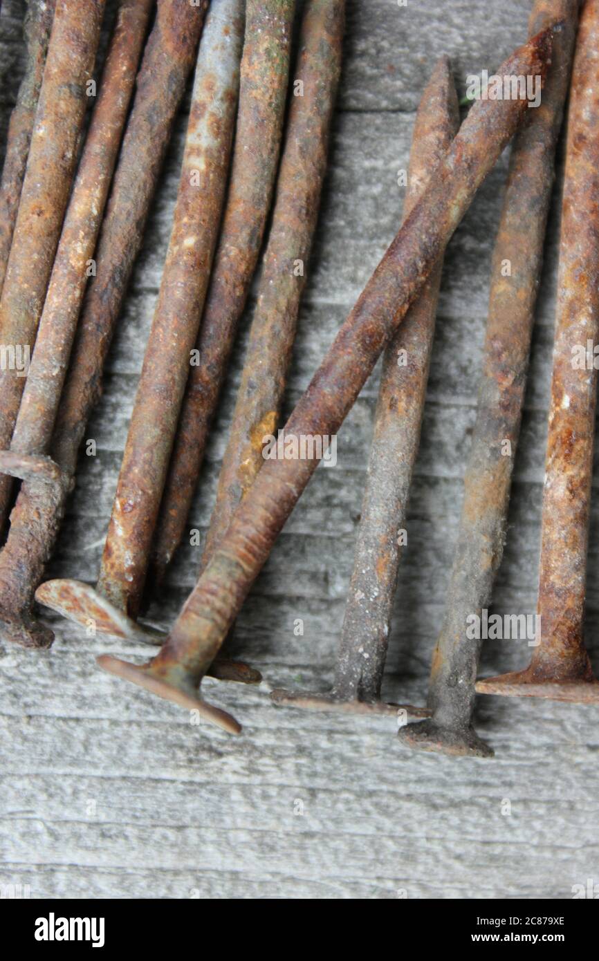 A pile of worn, rusted and out of date iron construction nails Stock ...