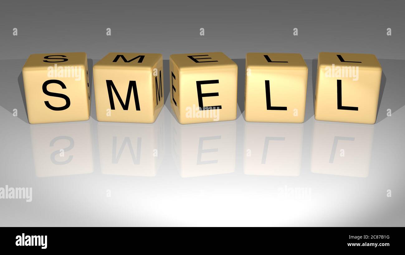 3D representation of Smell with icon on the wall and text arranged by ...