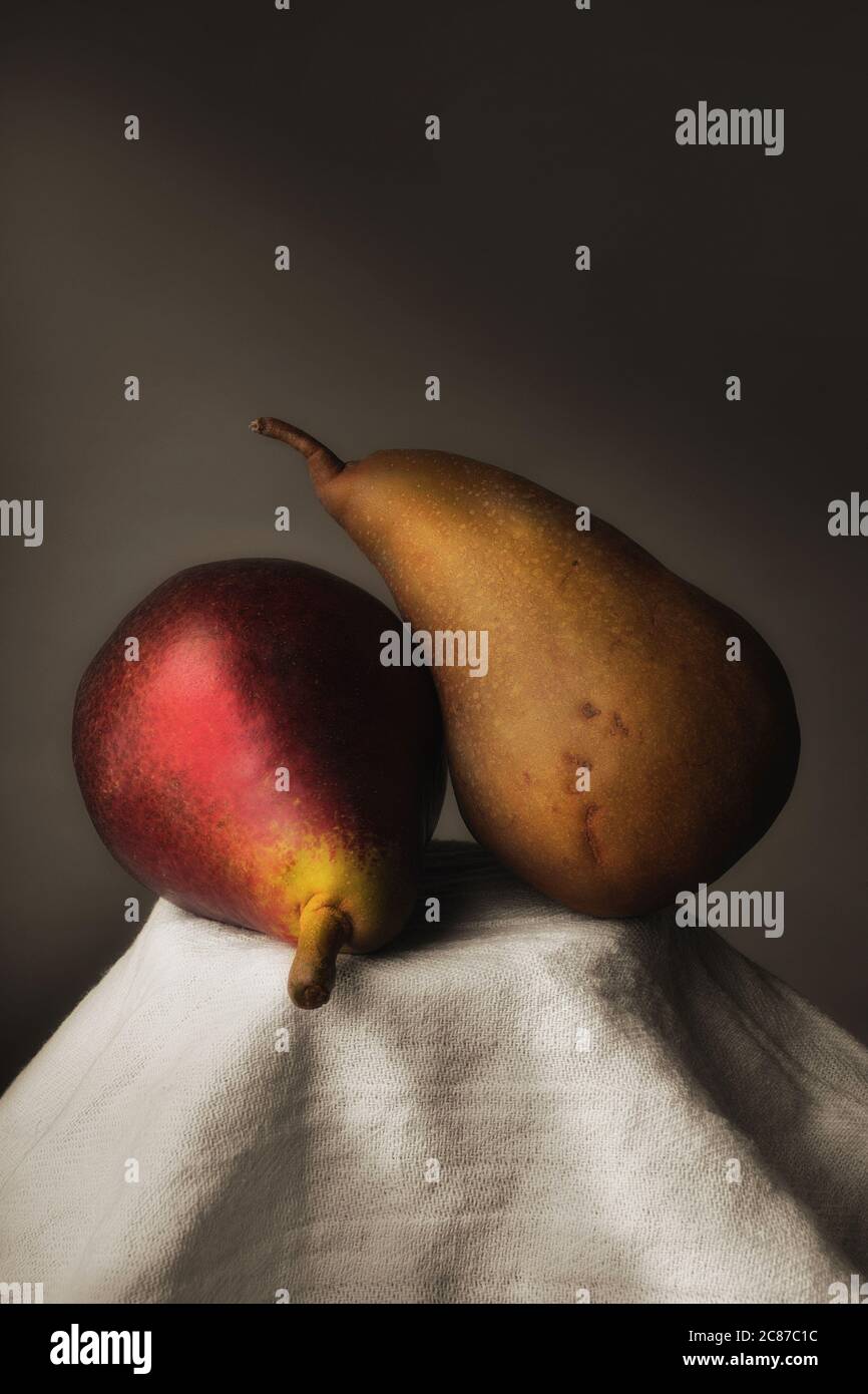 Still life of a Bosc and Red pears on a pedestal covered with a white ...