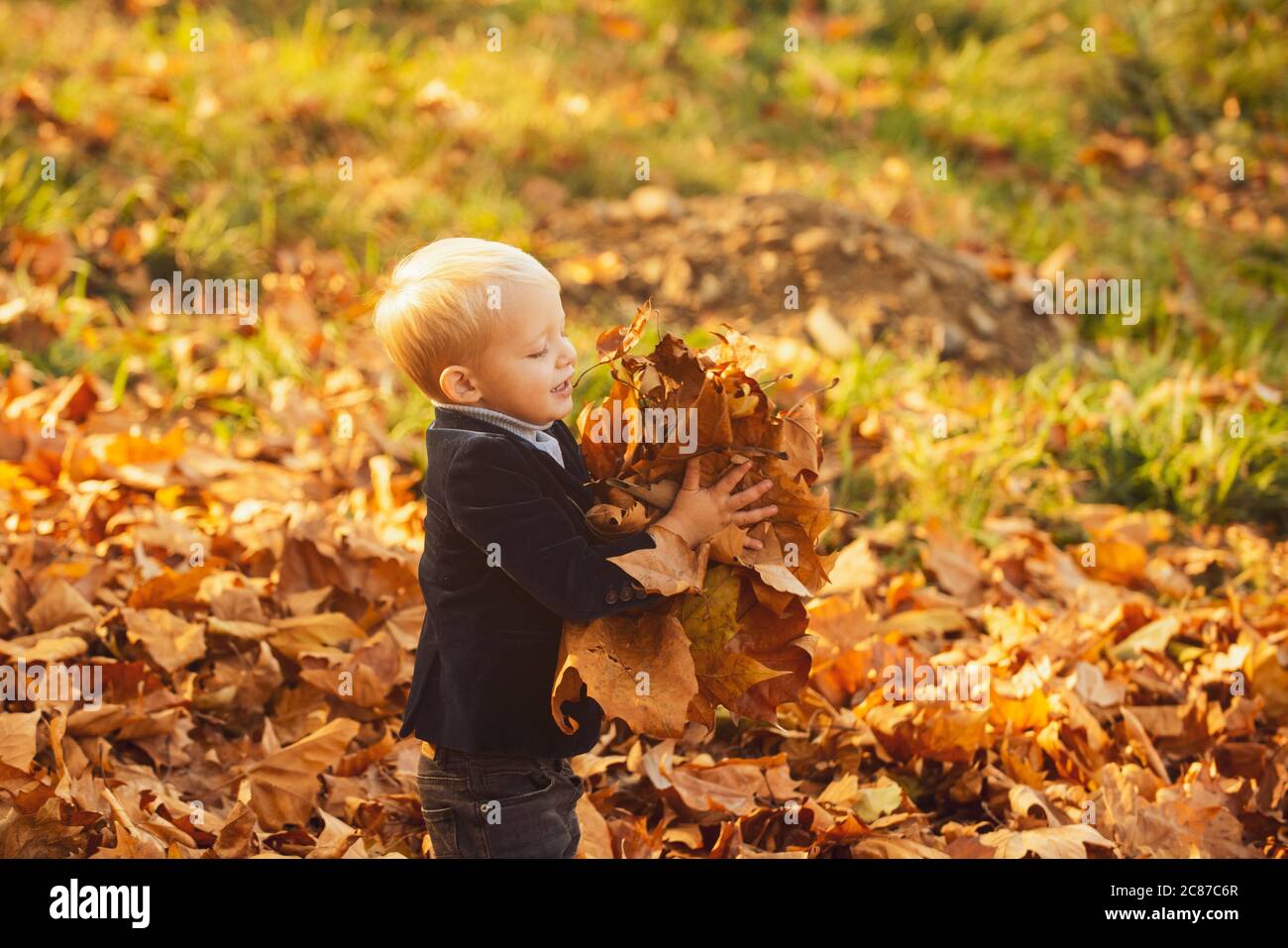Boy child with yellow leaf in autumn park. Happy child throwing the ...