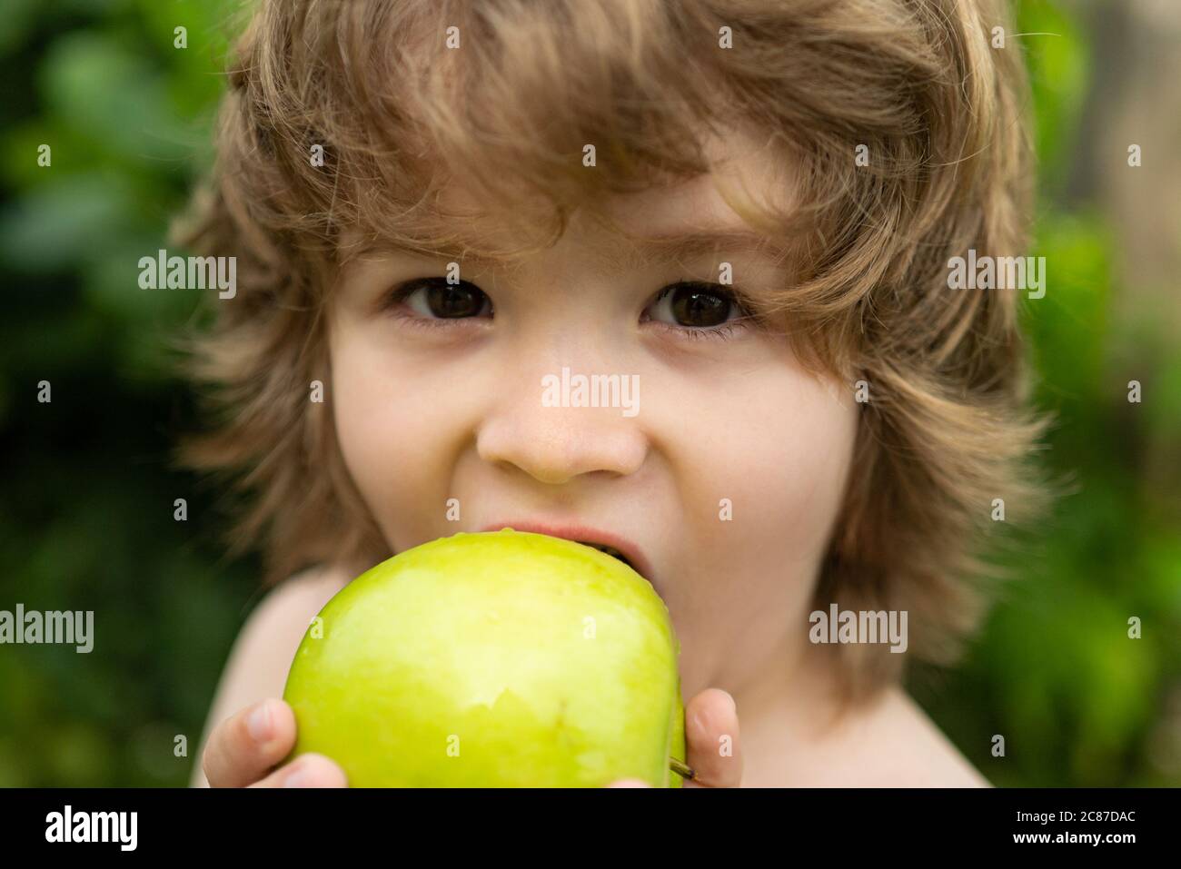 Kids eating apple. Little boy biting apple in sunny garden. Healthy ...