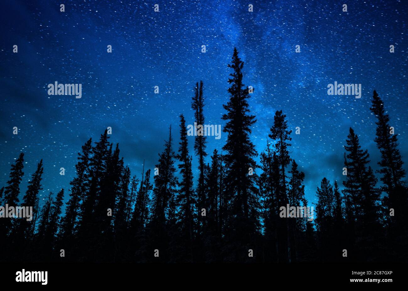 Summer Blue Night Sky With Epic Galaxy Stars Over Head Of Pine Forest ...