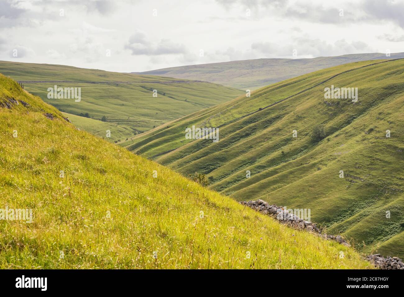 Windswept Hills The Windswept Hills 1 Art Print By Irena Orlov Fy