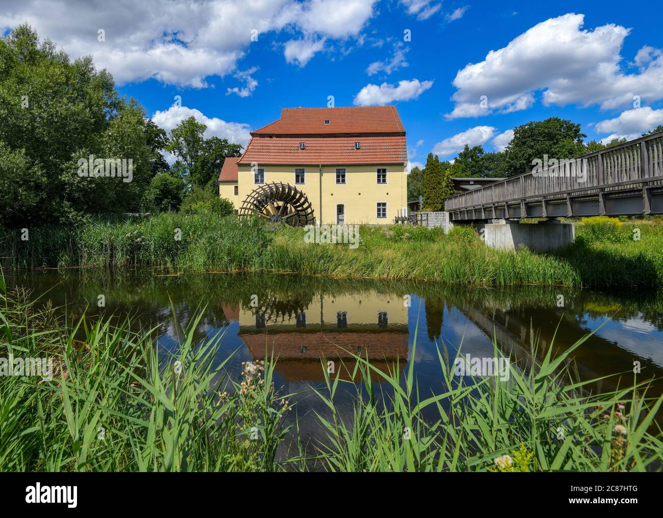 Black elster hi-res stock photography and images - Alamy