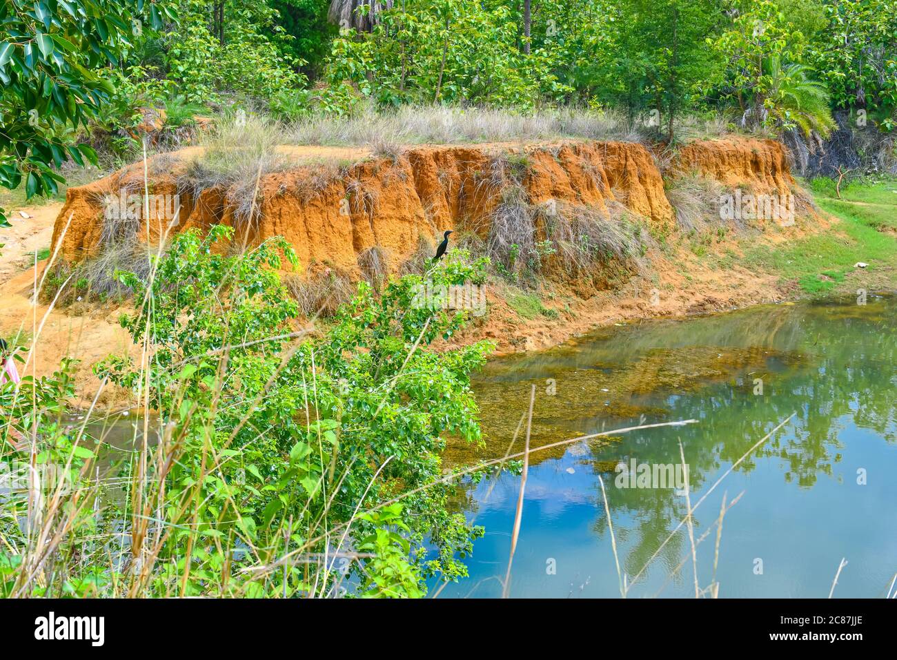 Beautiful Deep Pond In Forest Looking Awesome 04 Stock Photo - Alamy