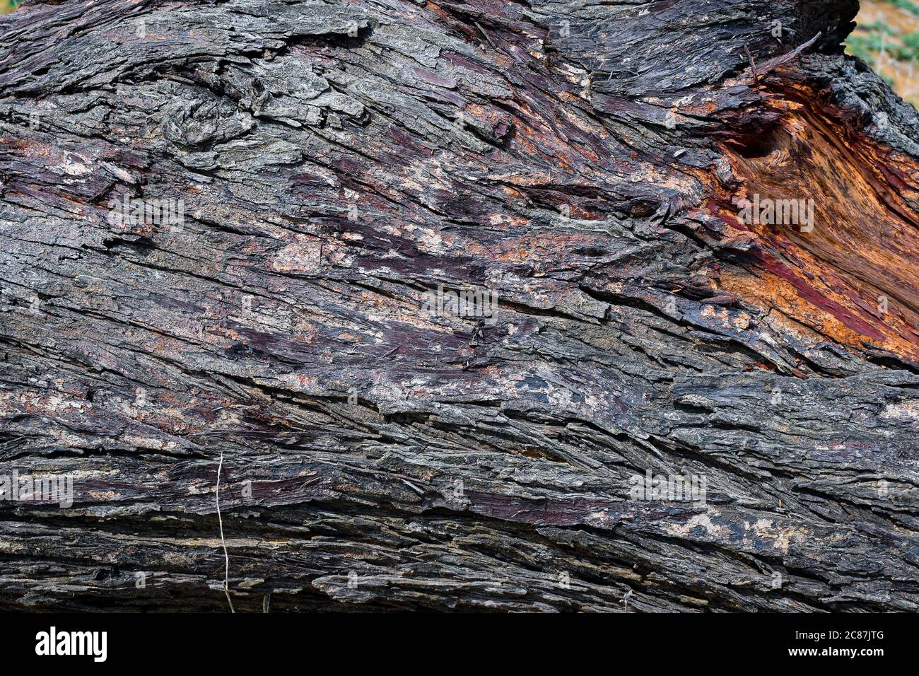 Wood floor outdoor texture background hi-res stock photography and ...