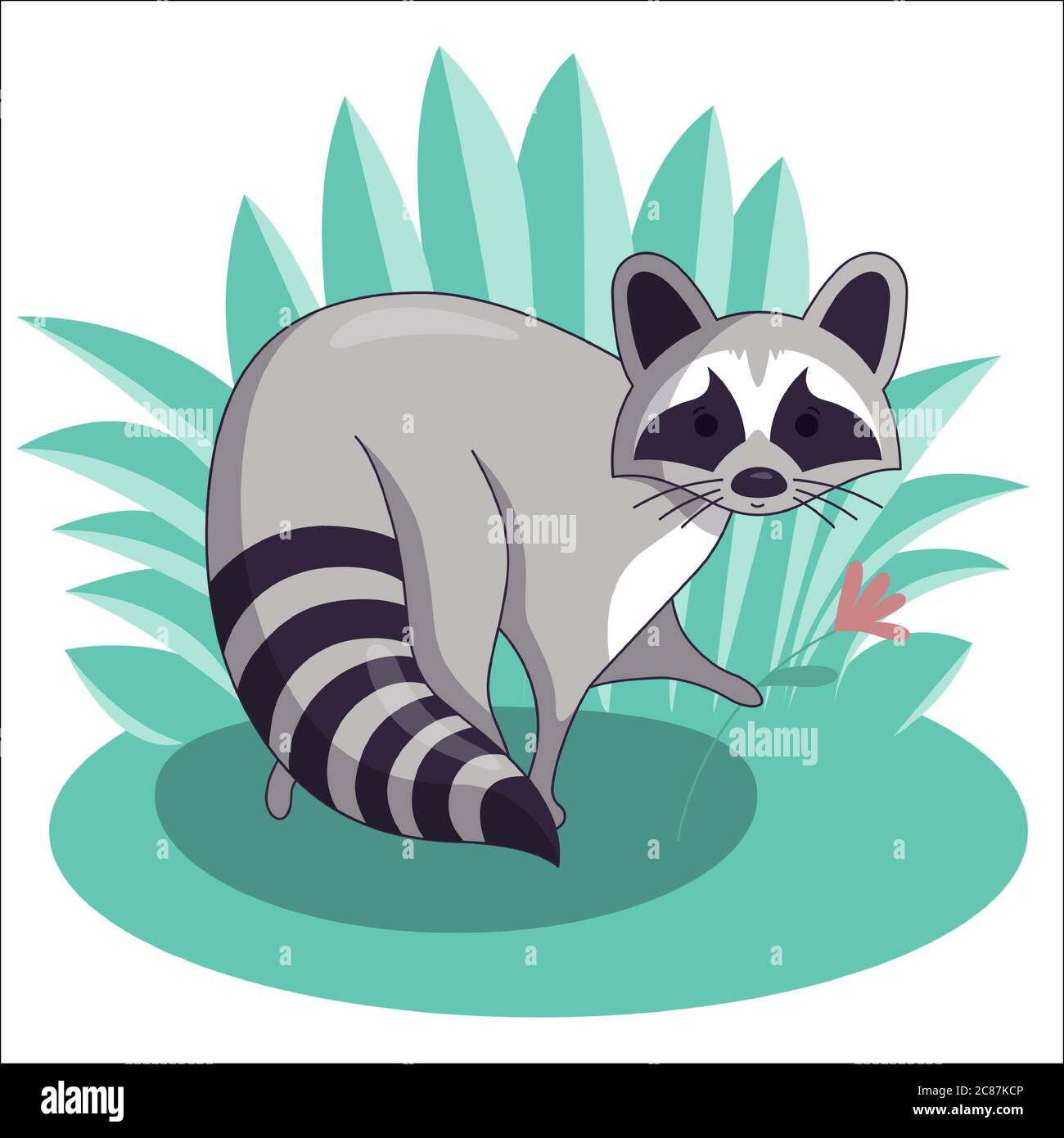 Raccoon Paw Print High Resolution Stock Photography and Images - Alamy