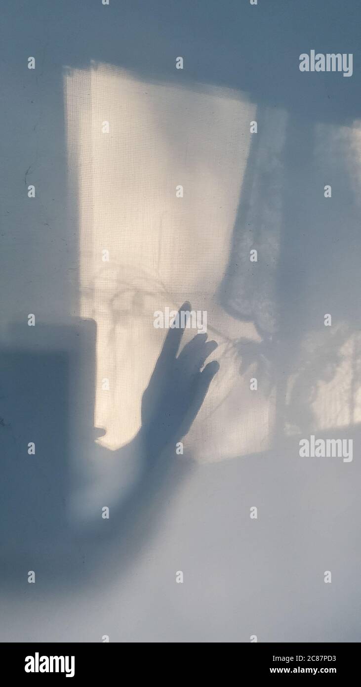 Touching female hand silhouette with long delicate fingers touch ...