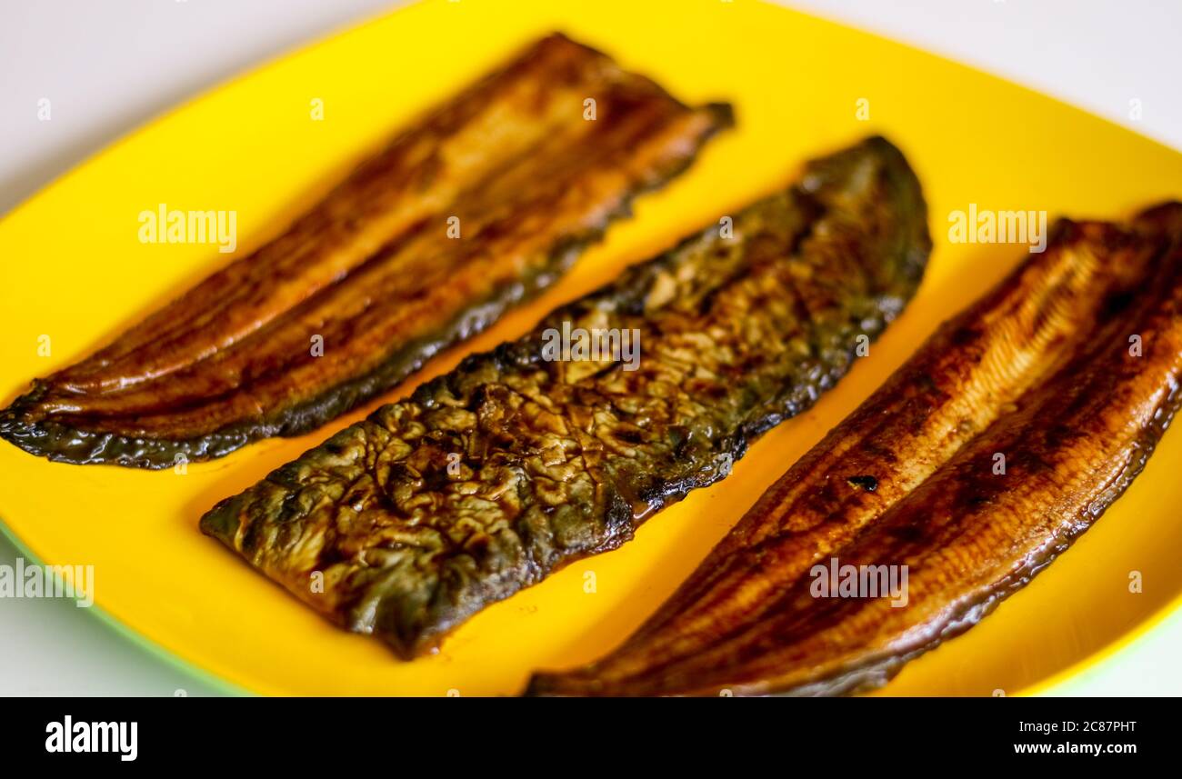 Eel fish or unagi on yellow plate with white background. Ready to cook ...