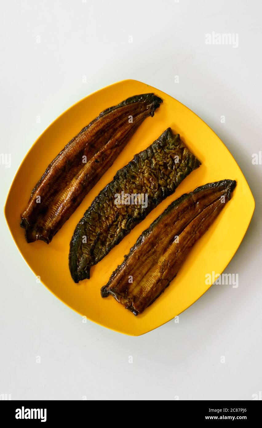 Eel fish or unagi on yellow plate with white background. Ready to cook ...