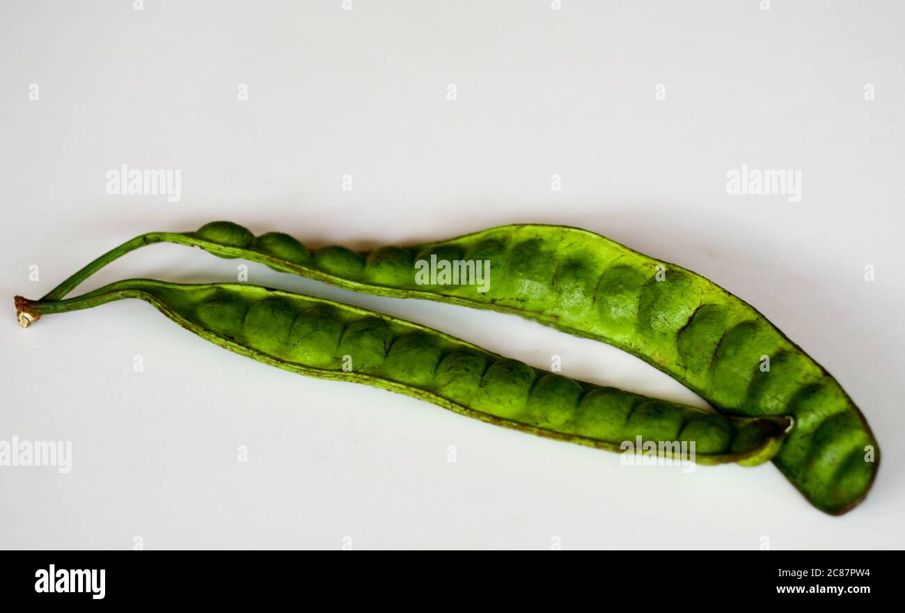 Bitter bean or Parkia speciosa on white backgrou Stock Photo - Alamy
