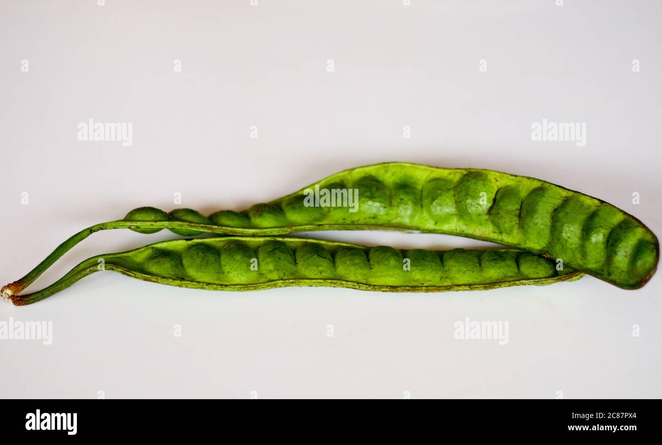 Bitter bean or Parkia speciosa on white backgrou Stock Photo - Alamy