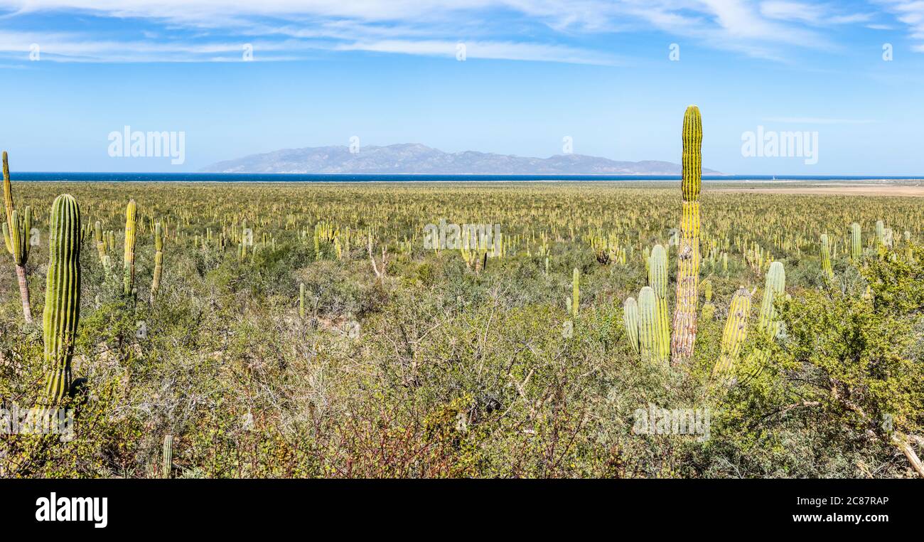 The landscape along the road from La Paz to Gran Sueno Resort, Highway ...