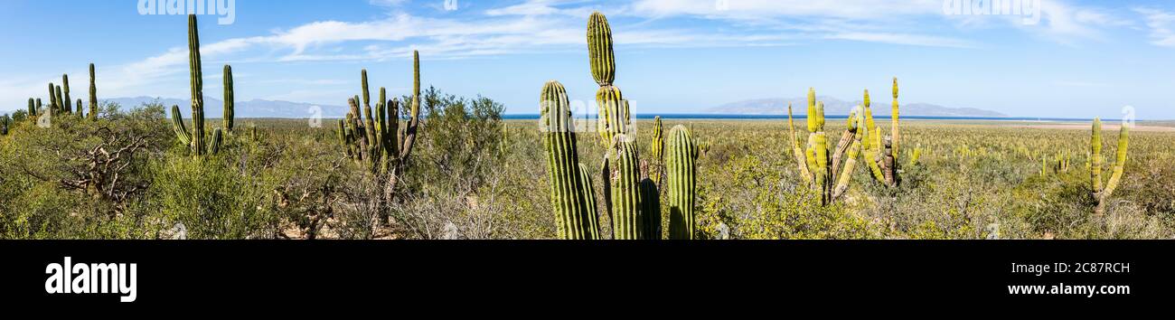 The landscape along the road from La Paz to Gran Sueno Resort, Highway ...