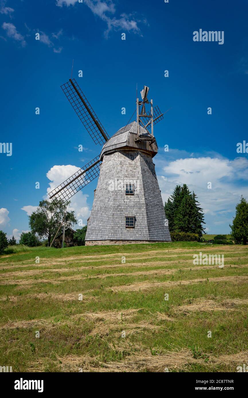 Old windmill in grassland in a country landscape with woodland trees ...