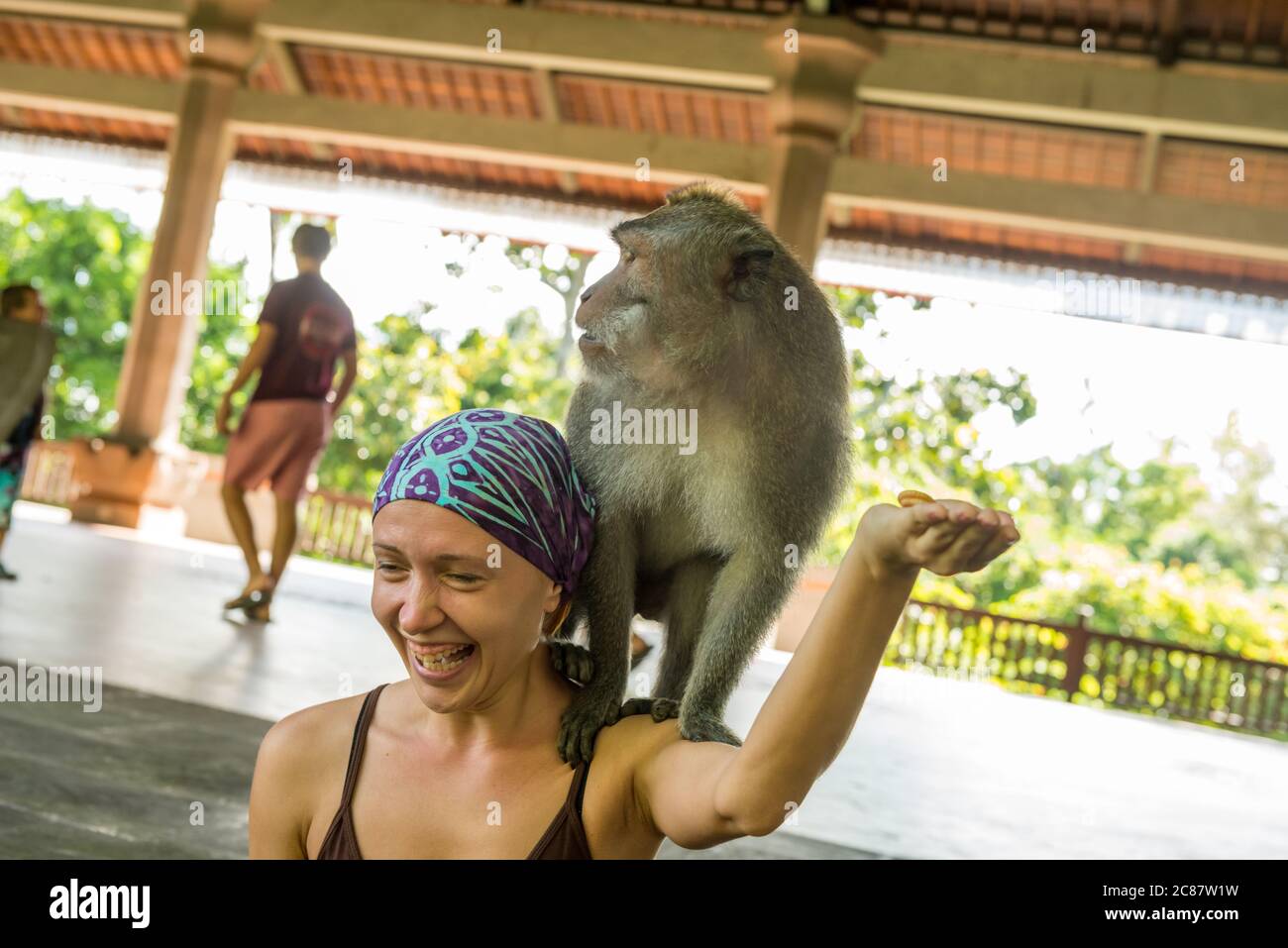 Tourist with monkey Stock Photo - Alamy