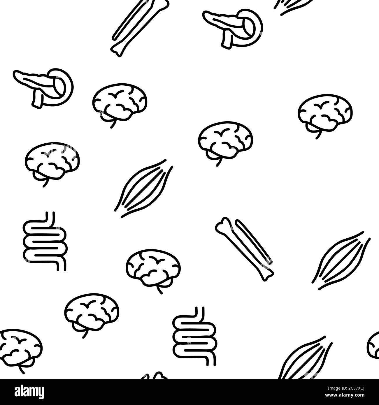 Organs Anatomical Vector Seamless Pattern Stock Vector Image & Art - Alamy