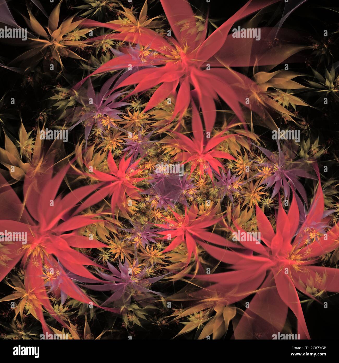 Botanical art hi-res stock photography and images - Alamy