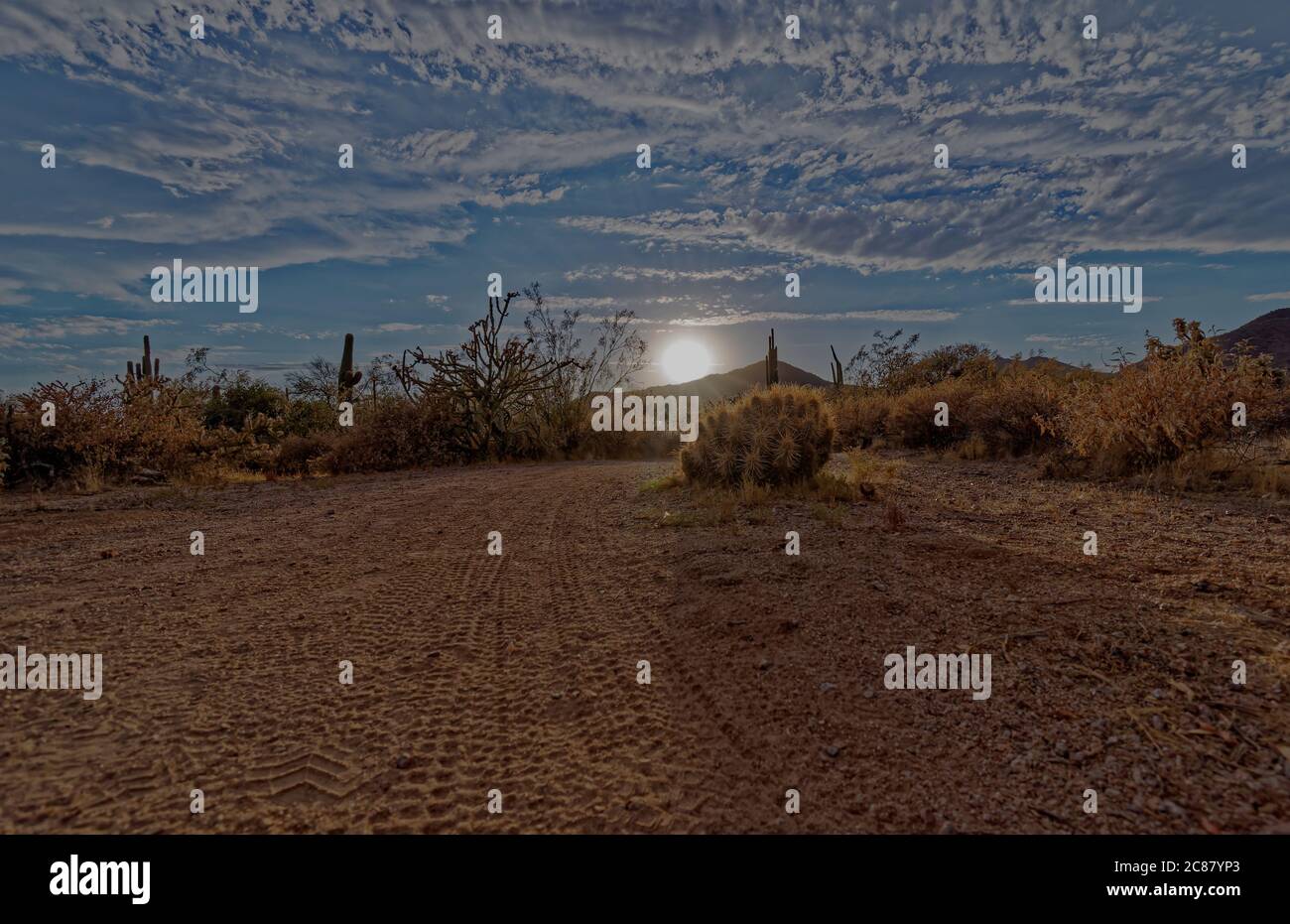 Sonoran desert sunset panorama hi-res stock photography and images - Alamy