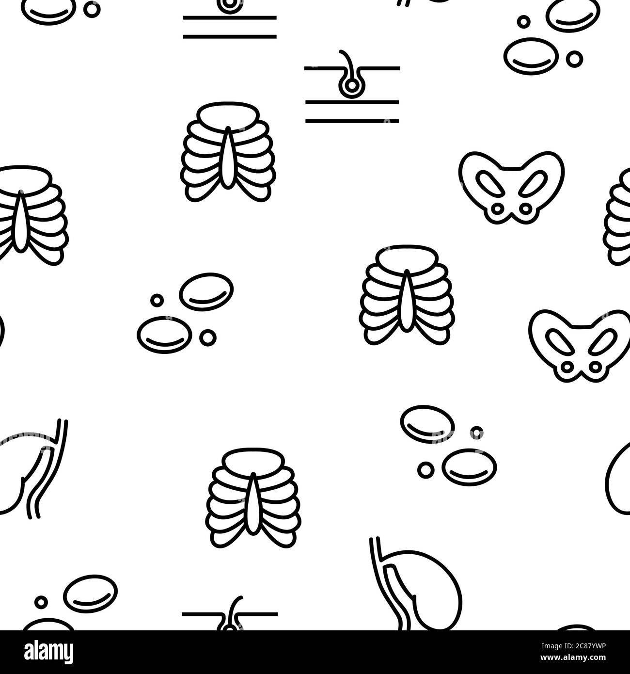 Organs Anatomical Vector Seamless Pattern Stock Vector Image & Art - Alamy