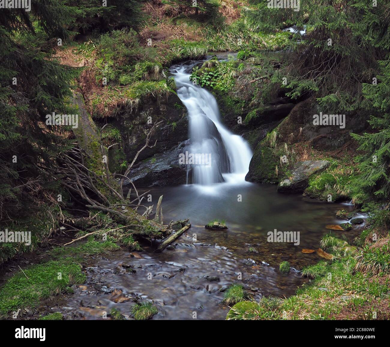 forest waterfall in jeseniky mountain on bila opava river Stock Photo ...