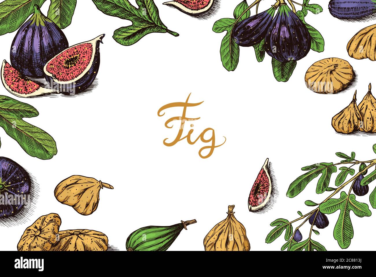 Fresh figs Poster or banner. Detox spice. Dried fruit background ...