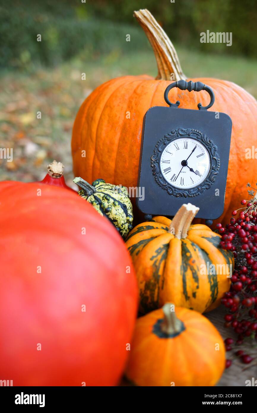 Autumn time. Thanksgiving holiday. Pumpkin harvest. Vintage clock ...