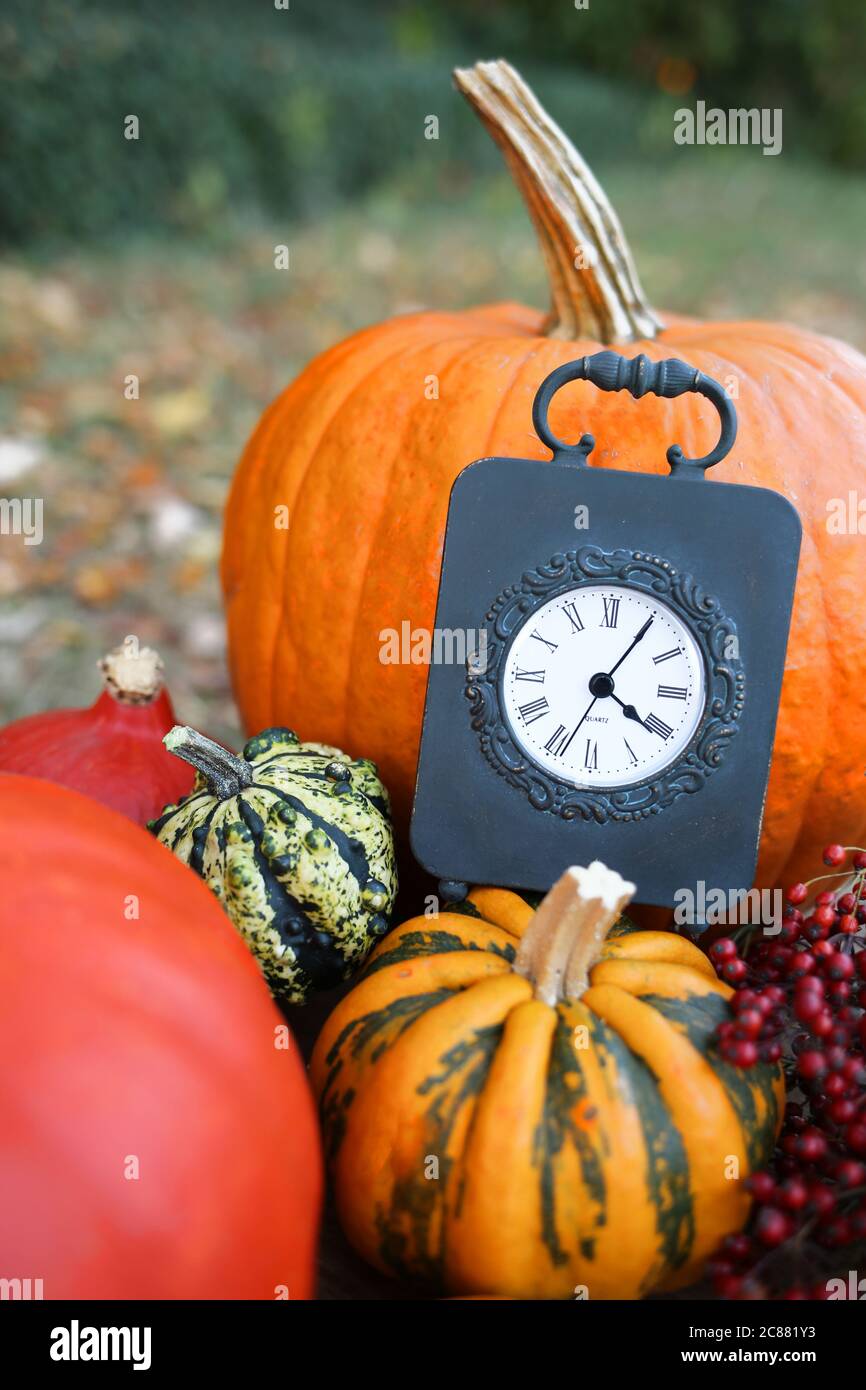 Autumn time. Thanksgiving holiday. Pumpkin harvest. Vintage clock ...