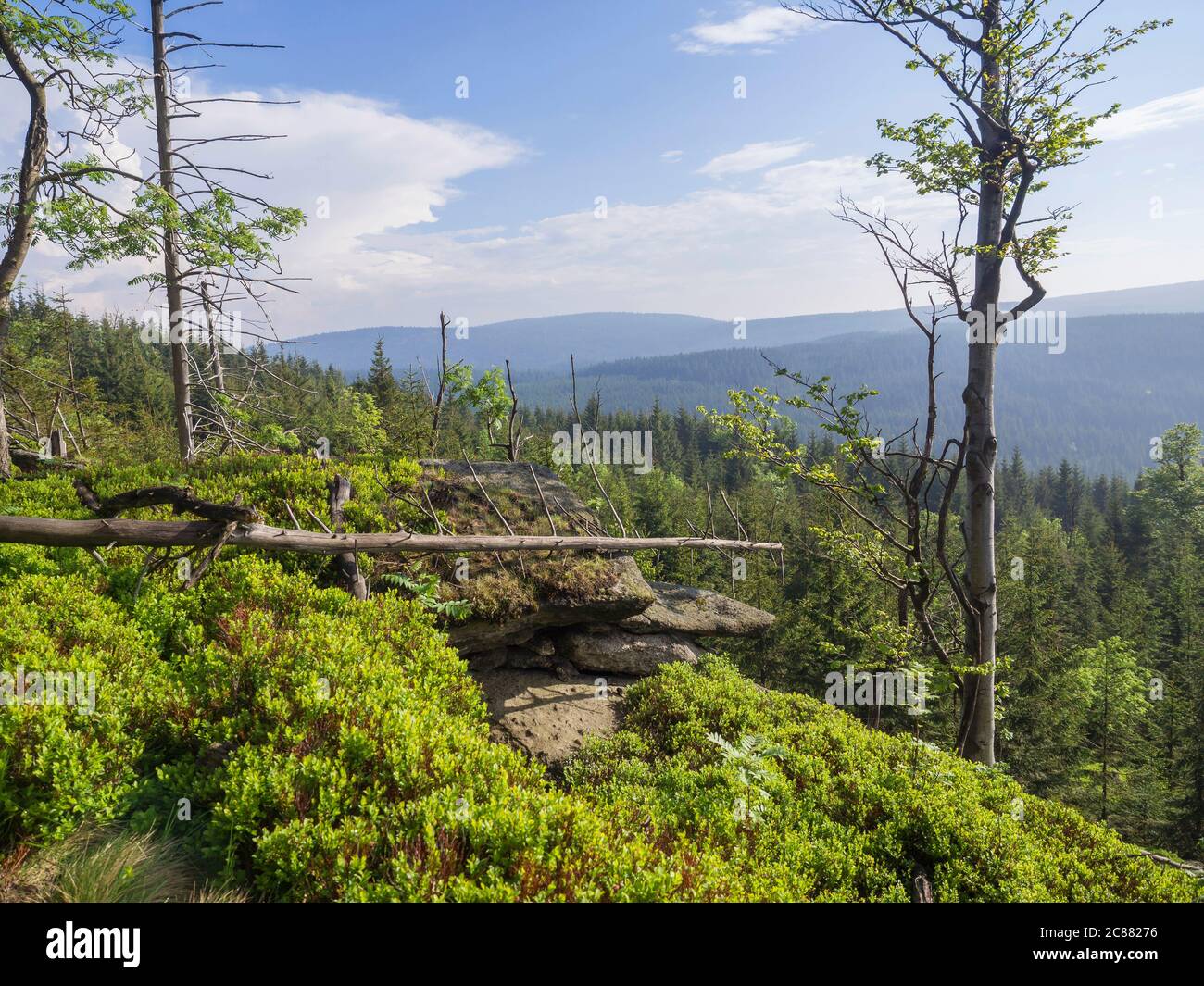 Jizera Mountains (jizerske hory) panorama, view from hill Frydlantske ...
