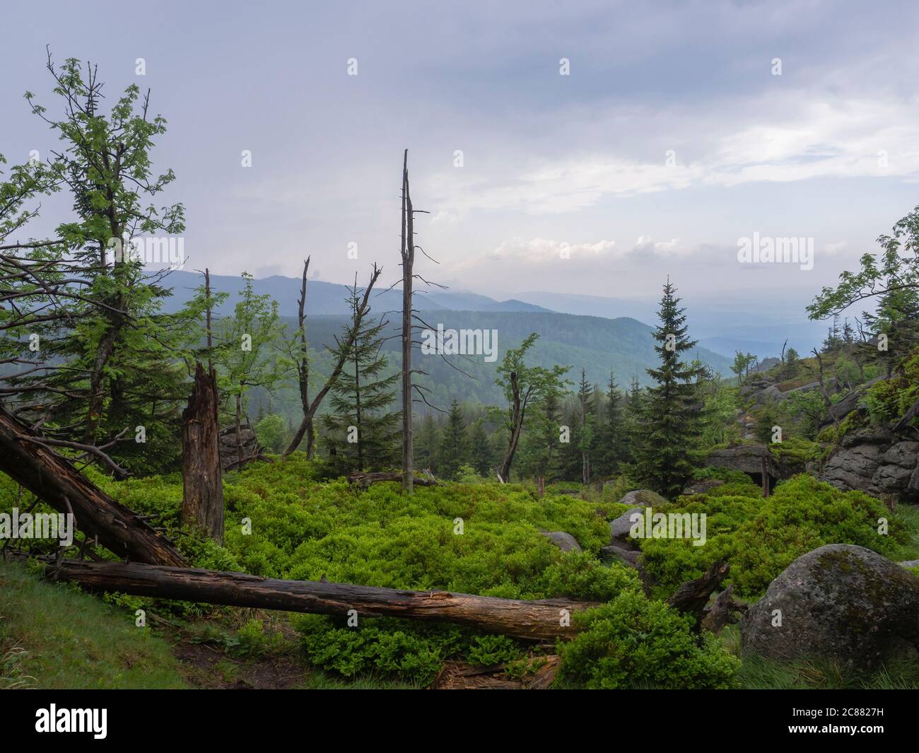 Jizera Mountains (jizerske hory) panorama, view from hill Frydlantske ...
