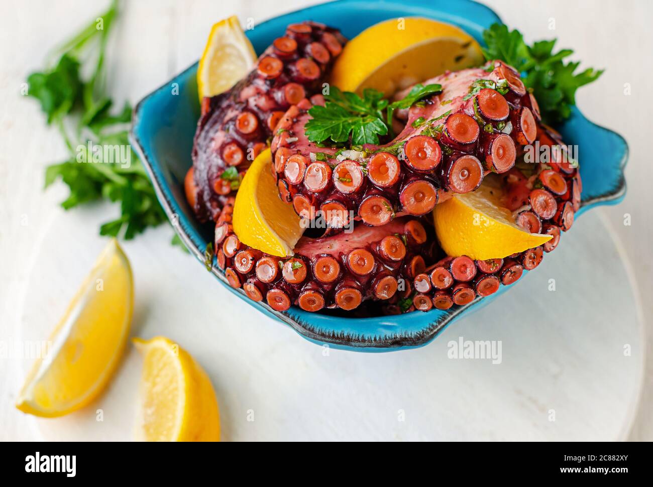 Cooked marinated octopus in a blue bowl on white background. Copy space ...