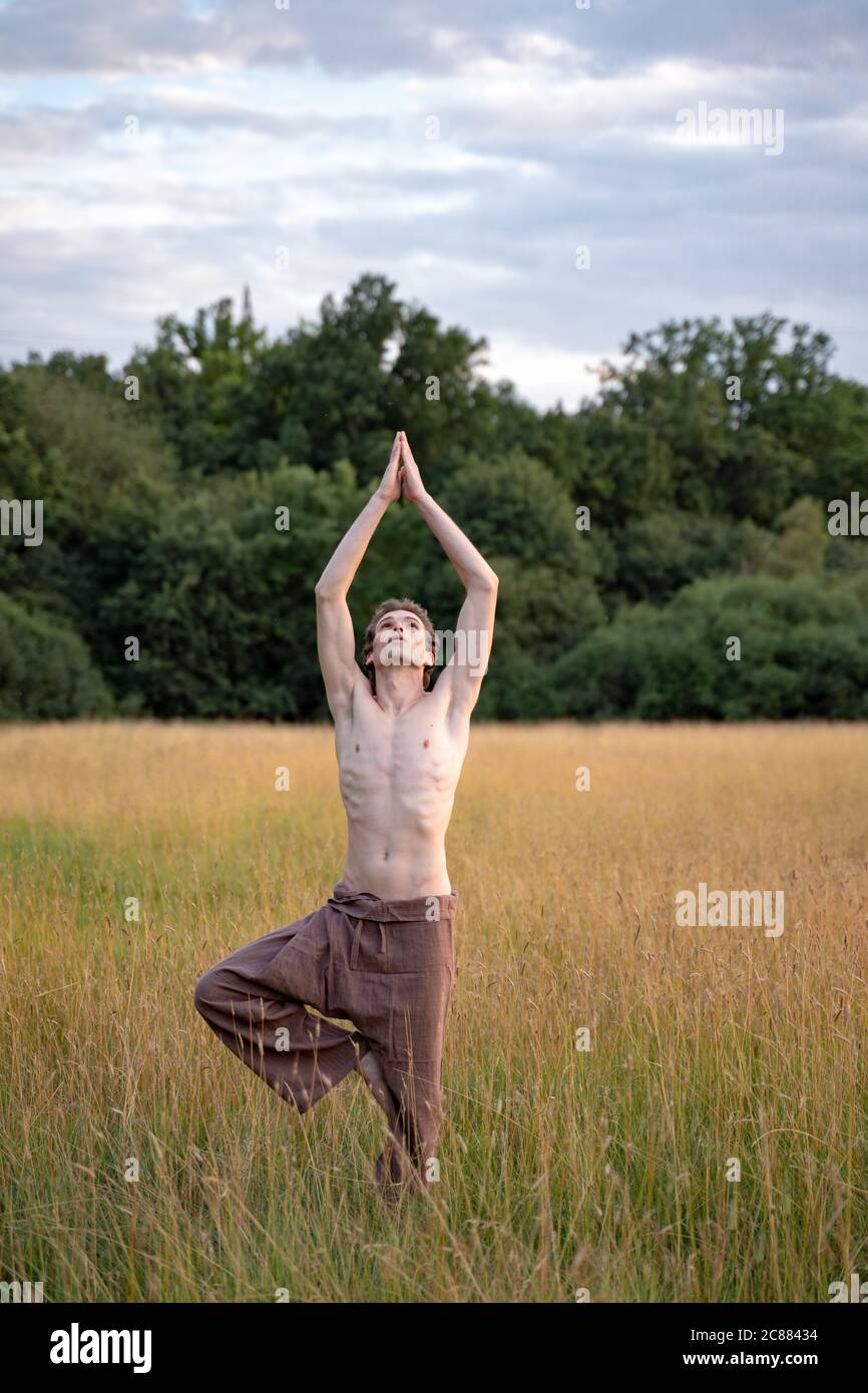 Shirtless man practicing tree pose while standing on landscape in ...