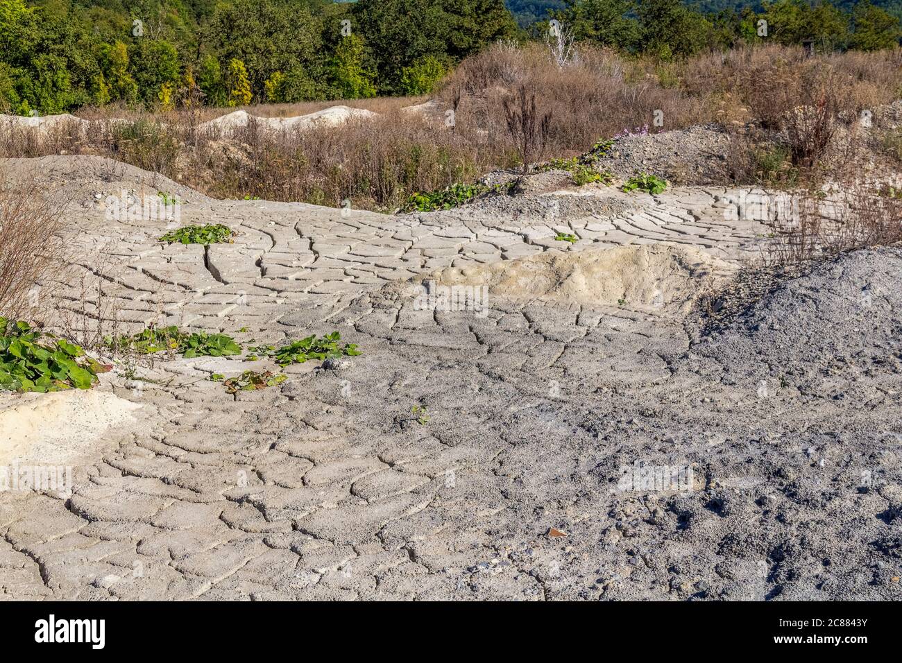 arid scenery including lots of fissured dry ground Stock Photo - Alamy