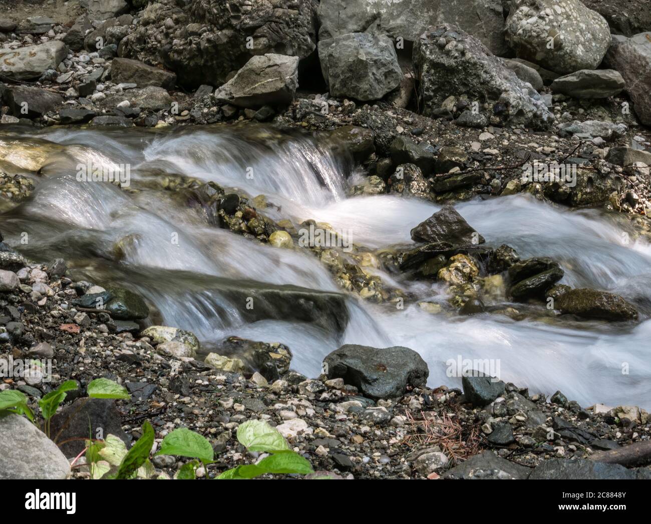 Water stream flowing between rocks into the forest. Water spring in ...