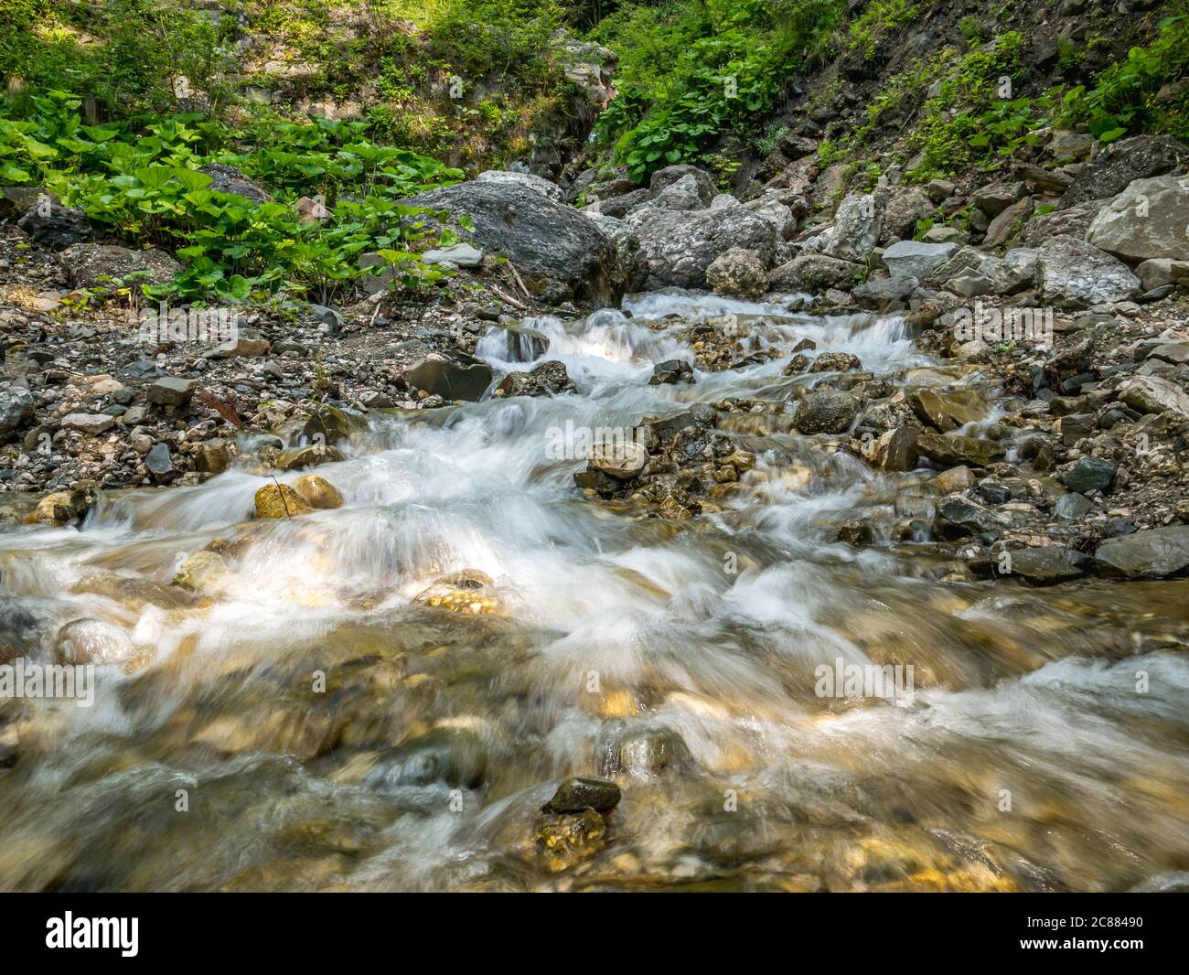 Water stream flowing between rocks into the forest. Water spring in ...
