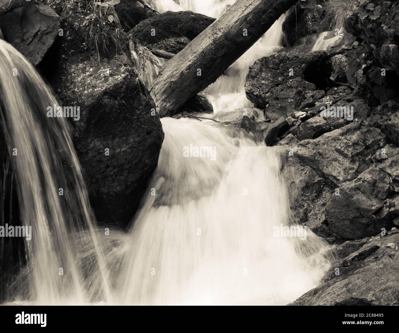 Water stream flowing between rocks into the forest. Water spring in ...