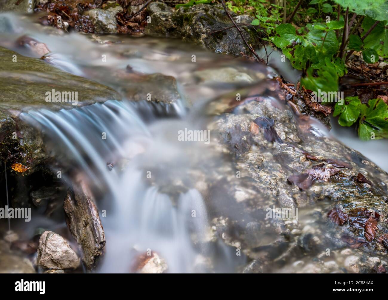 Water stream flowing between rocks into the forest. Water spring in ...