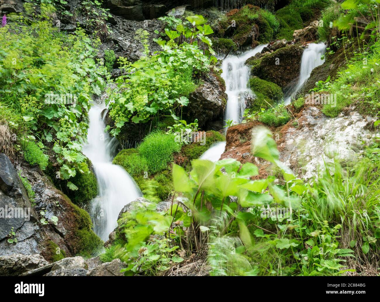 Foamy Valley Waterfall in Bucegi mountains accessible from Busteni town ...
