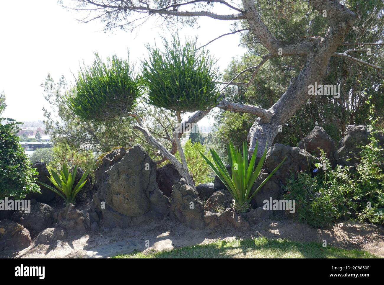 Culver City, California, USA 21st July 2020 A general view of ...