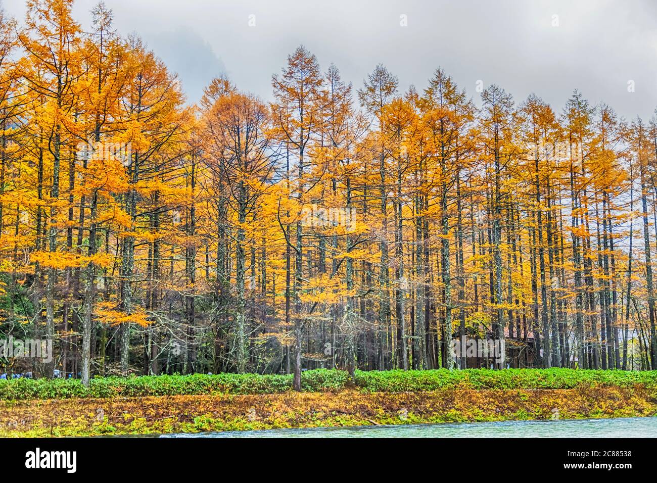 Kamikochi National Park in the Northern Japan Alps of Nagano Prefecture ...