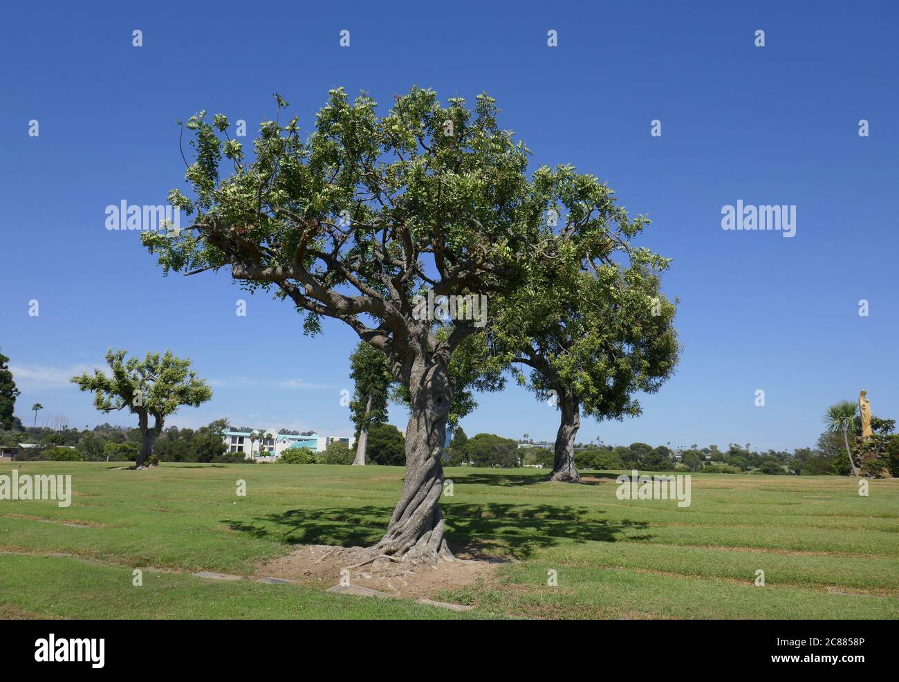 Culver City, California, USA 21st July 2020 A general view of ...