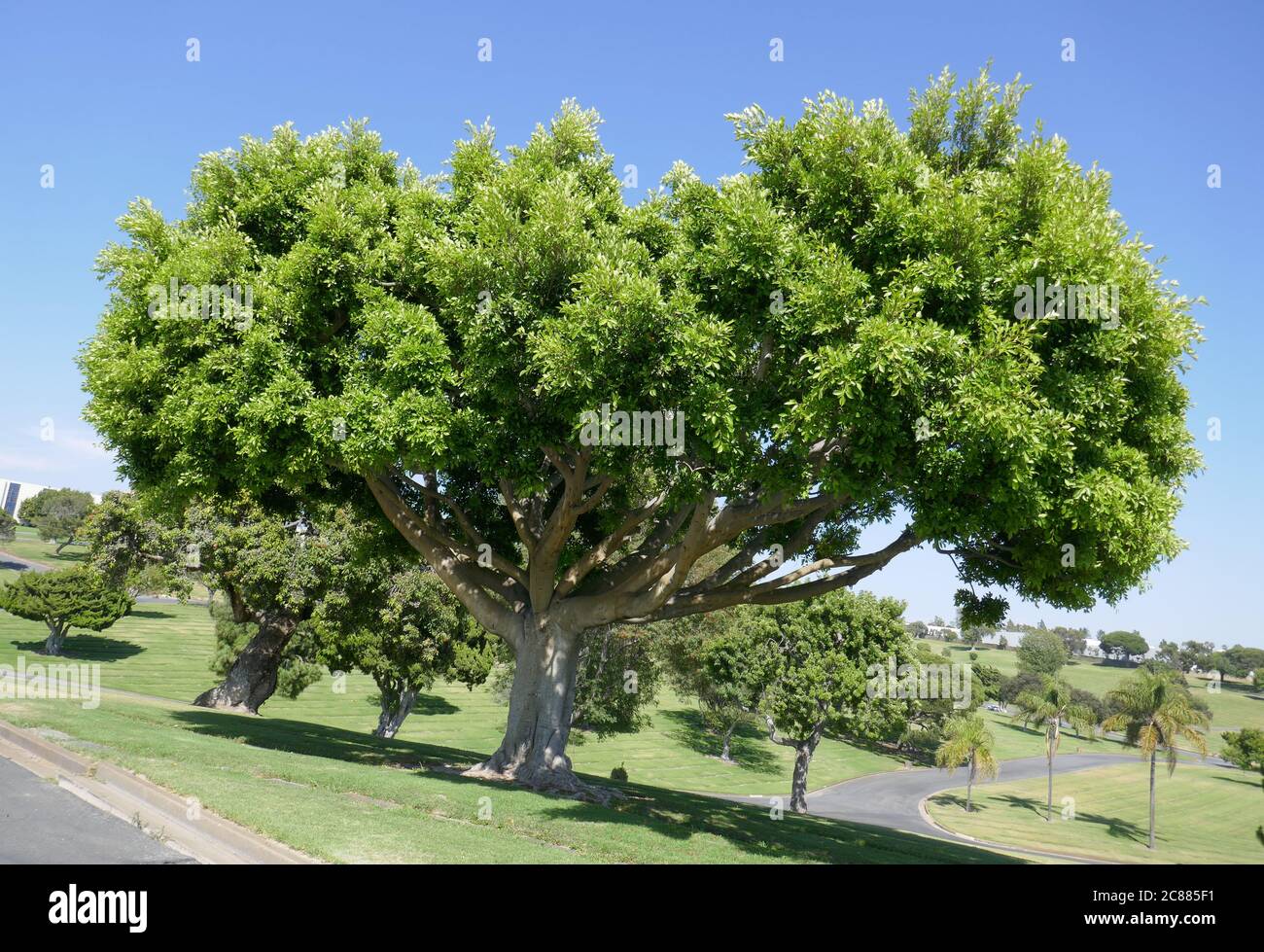 Culver City, California, USA 21st July 2020 A general view of ...