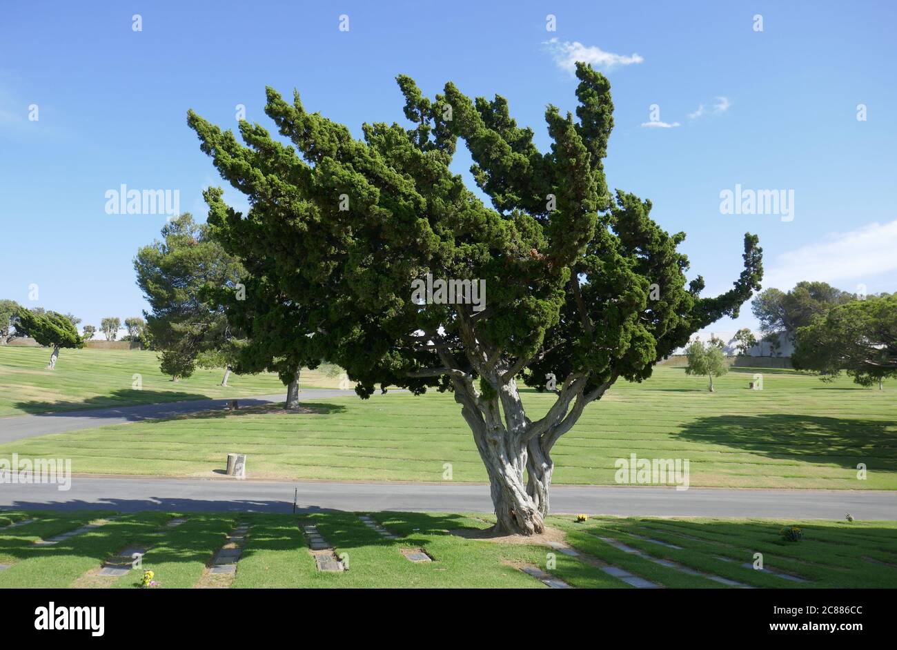 Culver City, California, USA 21st July 2020 A general view of ...