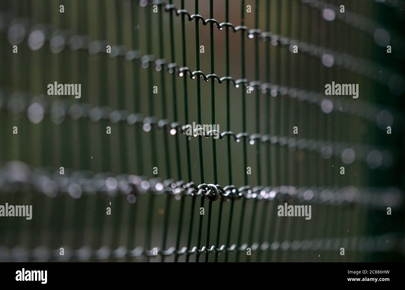 Metal Net in front of green garden after the rain. Lithuania, Nida ...