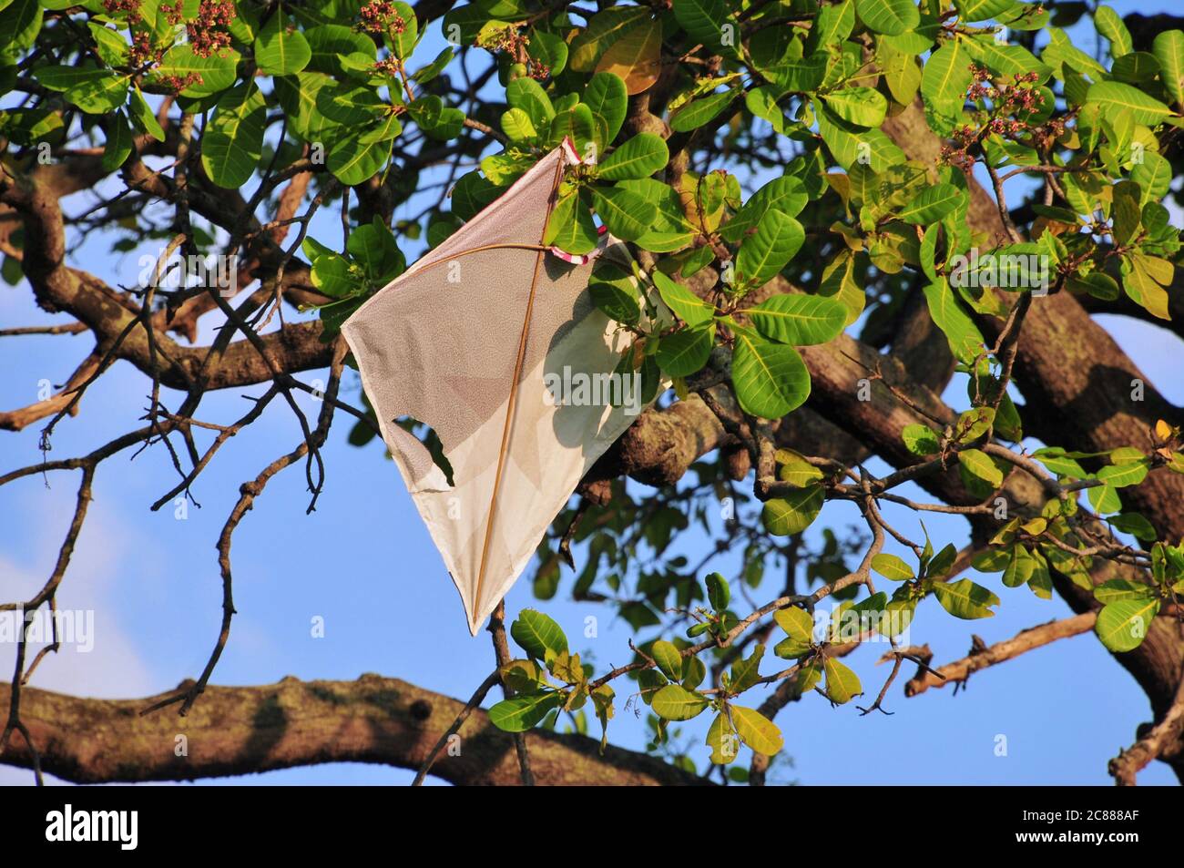 Broken kite hi-res stock photography and images - Alamy