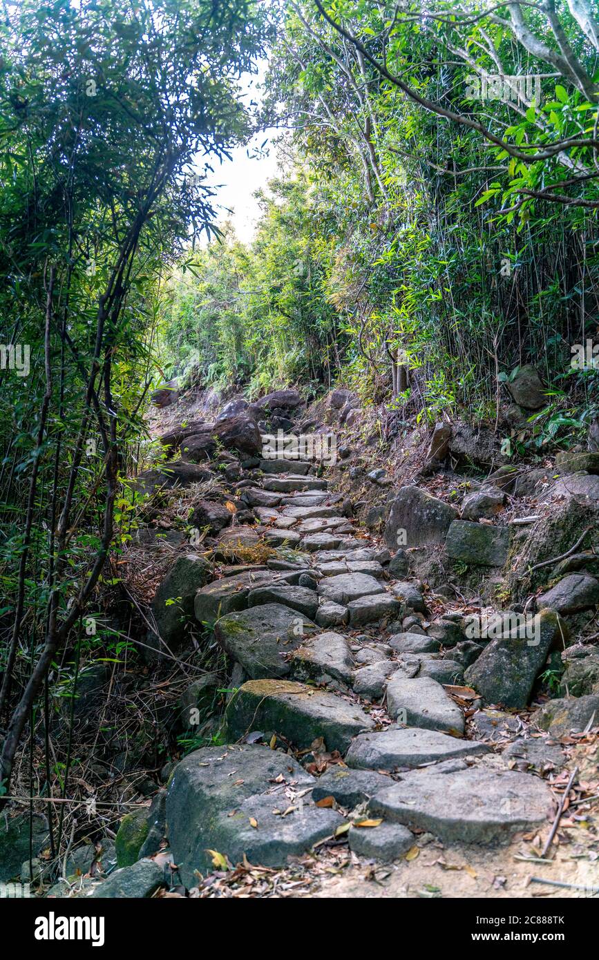 The beautiful sunny hiking road in Sai Kung East Country Park in Hong ...