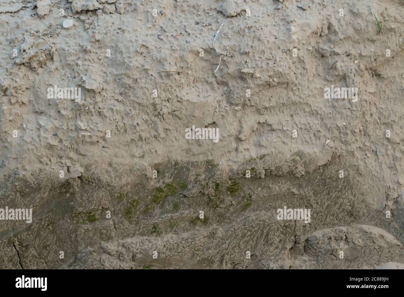 Soil is a soft, granular covering of the earth's surface Stock Photo ...