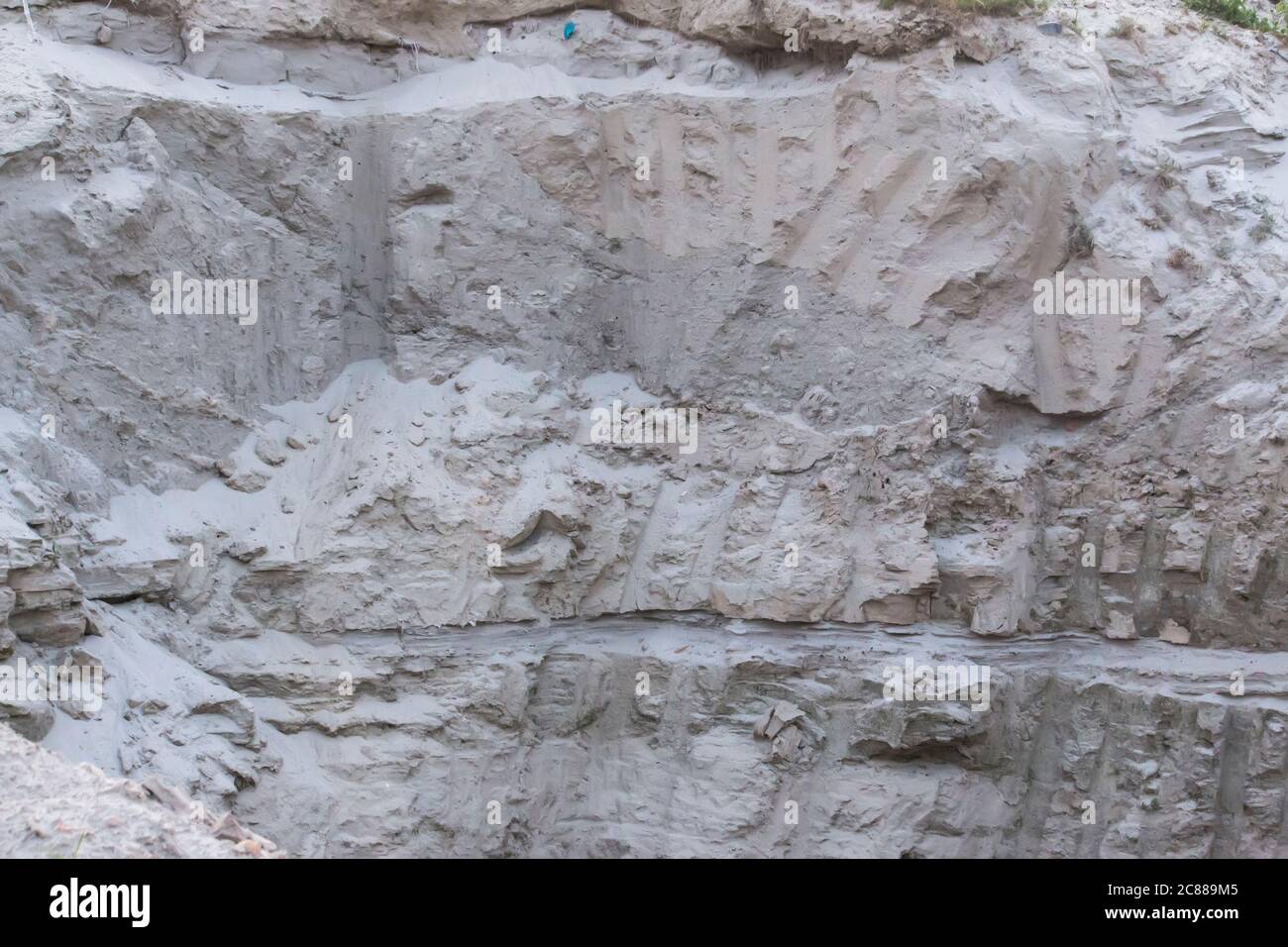 Soil is a soft, granular covering of the earth's surface Stock Photo ...