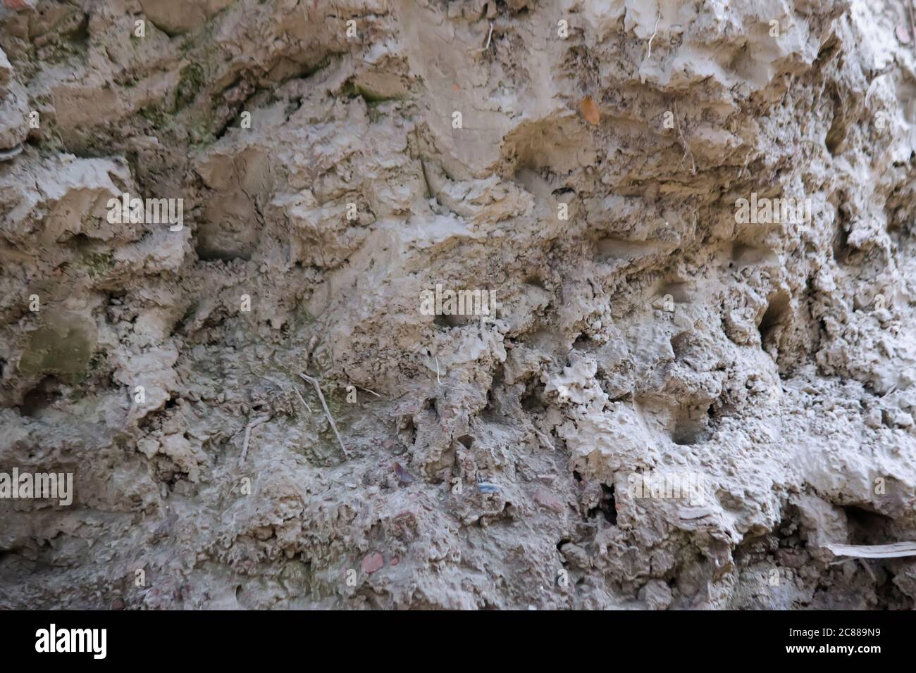 Soil is a soft, granular covering of the earth's surface Stock Photo ...