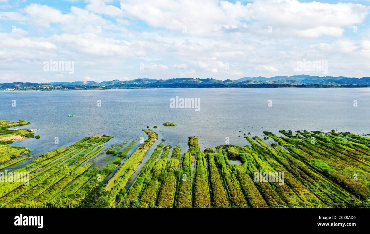 Weining, China's Guizhou Province. 9th June, 2020. Aerial photo shows ...